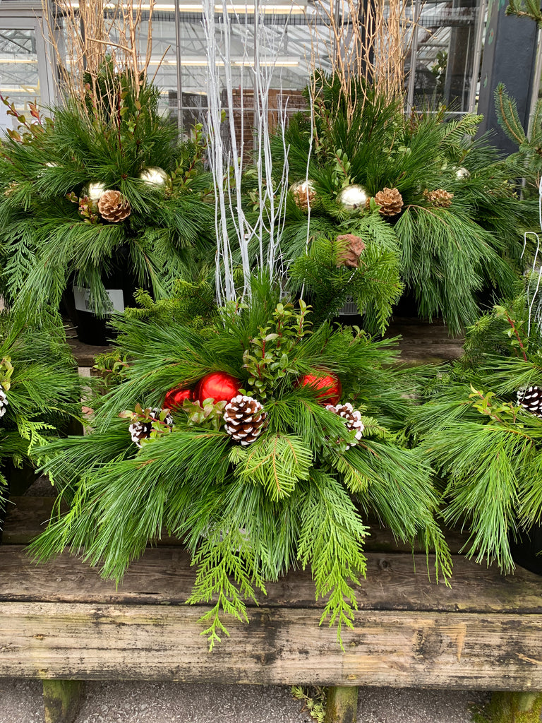 Fresh Urn Inserts – Holland Park Garden Gallery