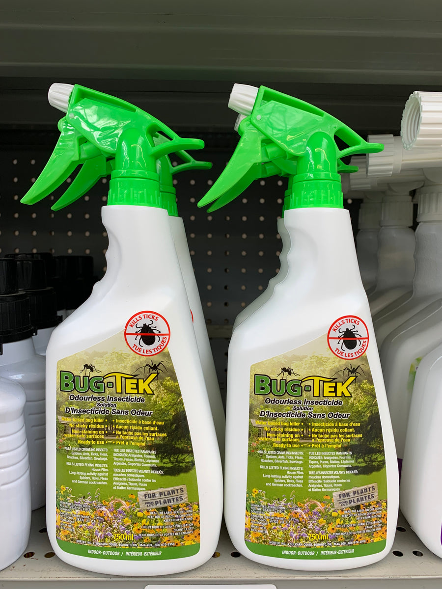 Bug-Tek – Holland Park Garden Gallery